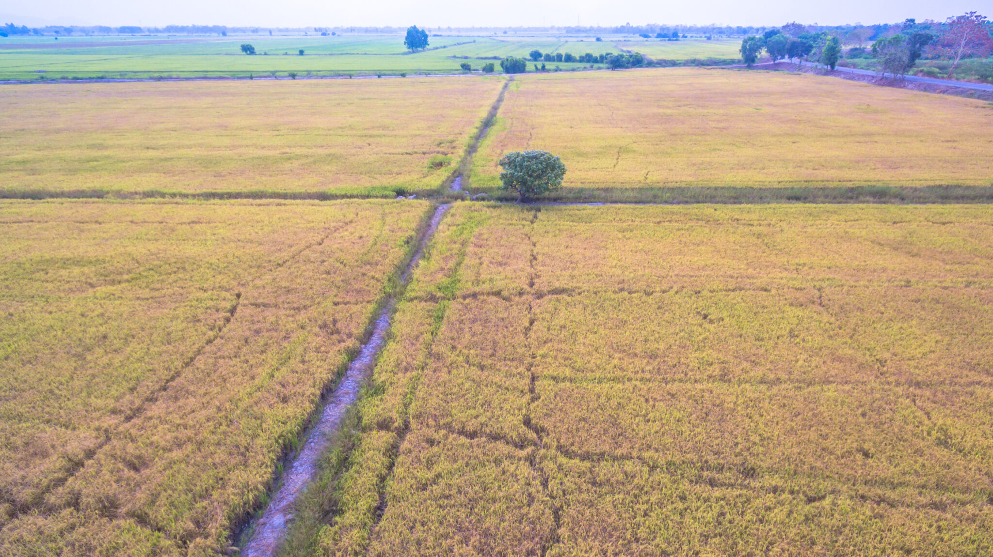 The Hunter Canal Delivered Millions of Gallons of Water | Maurice Today